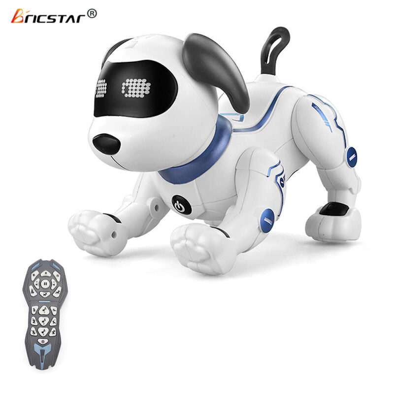 Handstand Push-Up Dog - Ritzy Gadgets